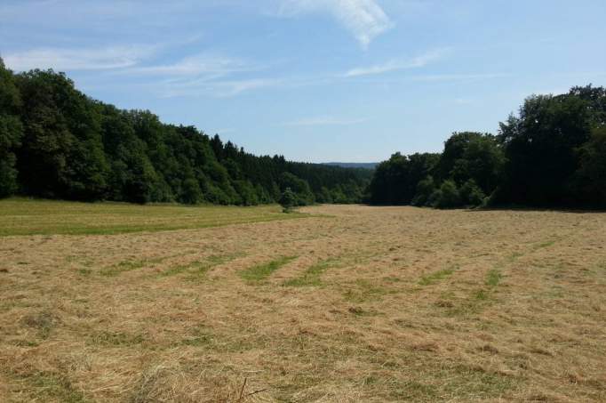 Ausflugsziel Römerkastell Zugmantel in Taunusstein - DOATRIP.de