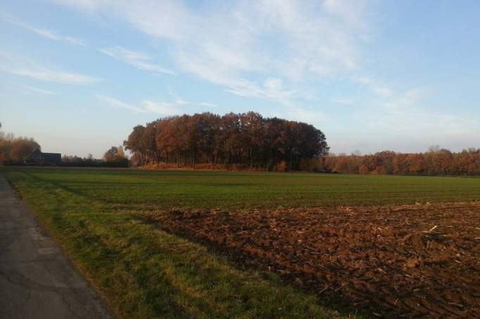 Ausflugsziel Hünenburg in Twistringen - DOATRIP.de