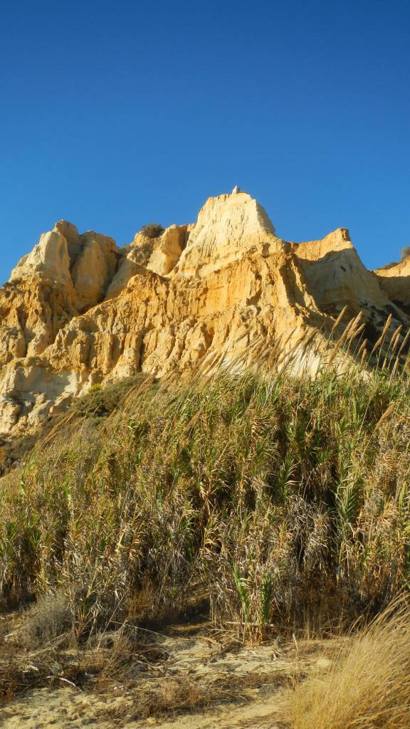 Ausflugsziel Nationalpark Coto de Doñana in Almonte - DOATRIP.de